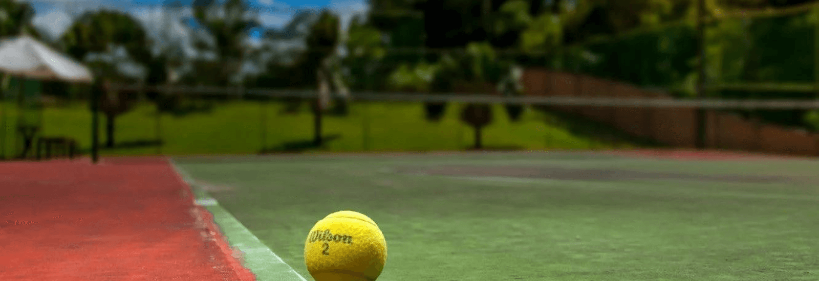 Cricket Courts Supply and Installation Service in UAE - APW Pools